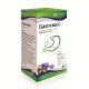 Gastrolact® and Helicobacter pylori (H. pylori) infection | LV Pharm